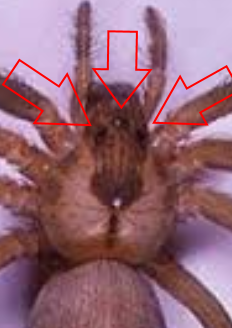 Safety: Save yourself and others