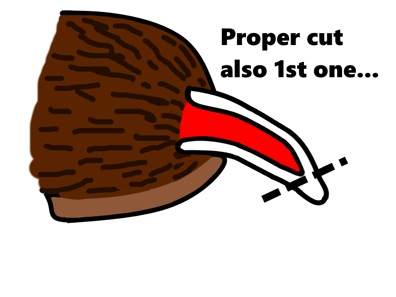 Trimming pet claws safely and effectively - Valuable To Know