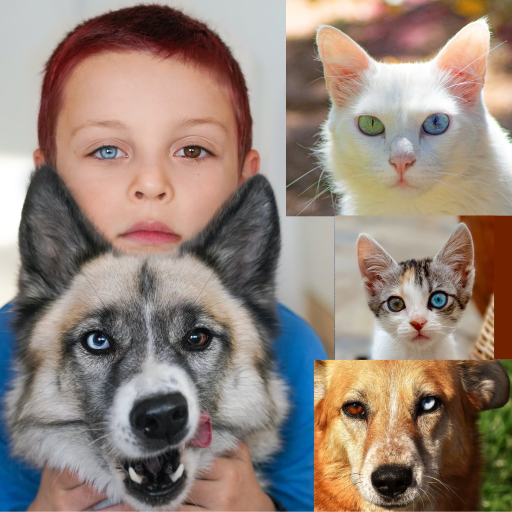 Everything that is good to know about eye color and condition ...