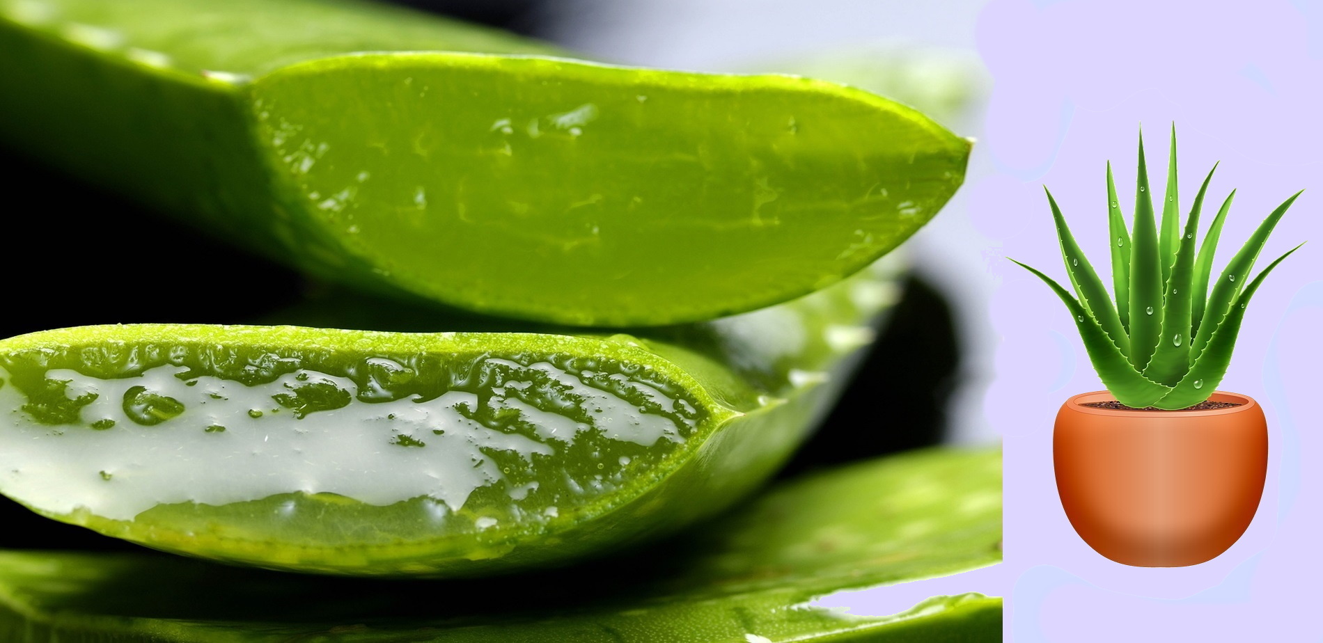 Favorite beauty items - Valuable To Know